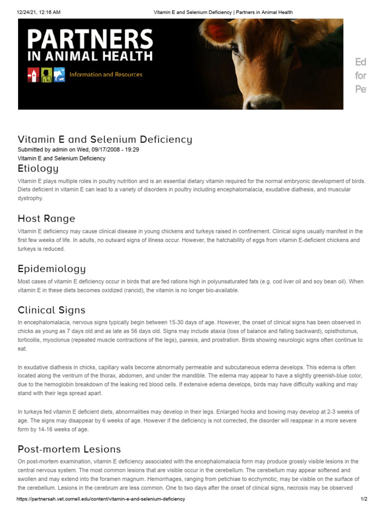 Vitamin E and Selenium Deficiency - Partners in Animal Health | PDF ...