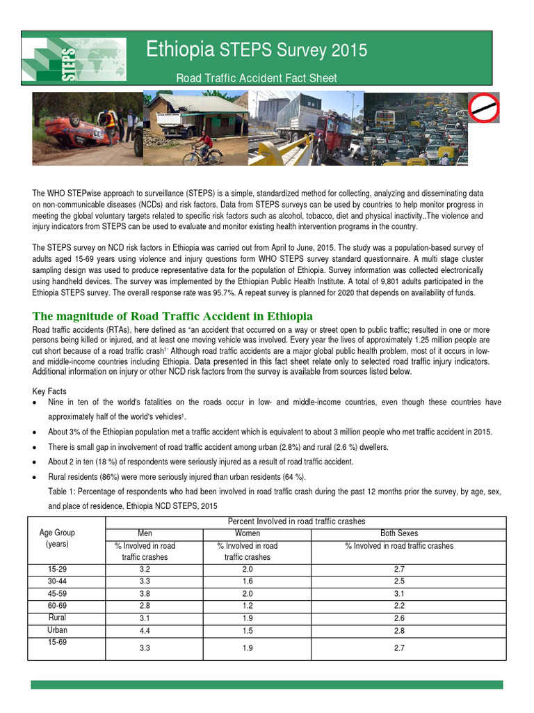 Road Traffic Accident Fact Sheet Final | PDF | Traffic Collision | Road