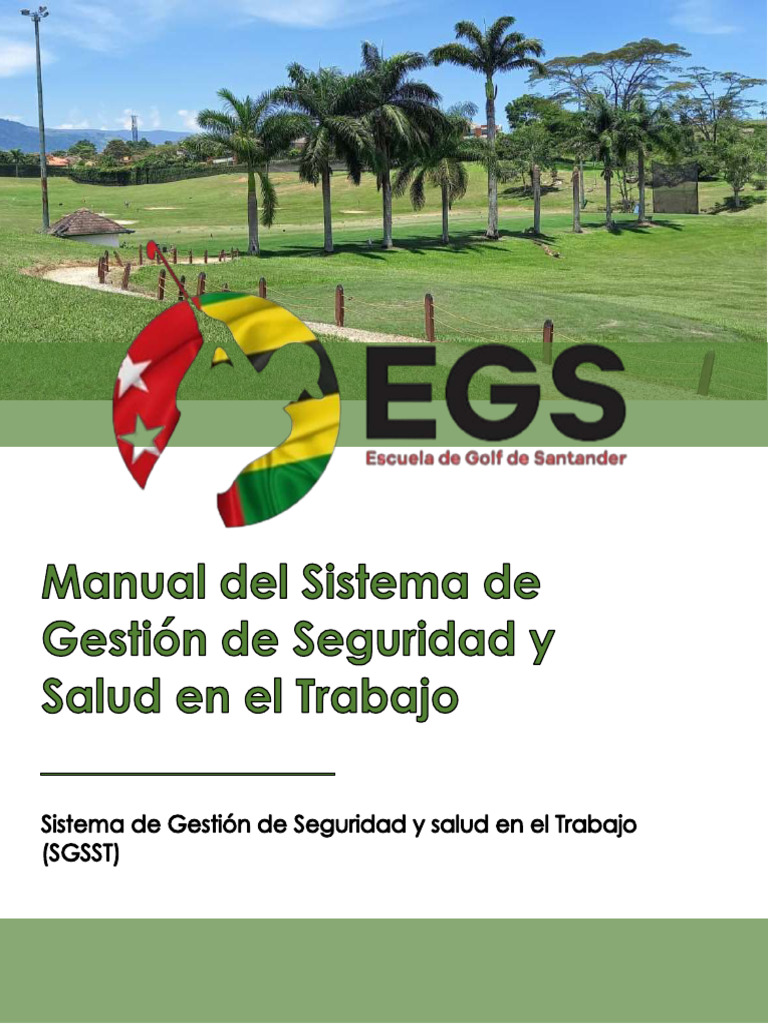 Manual Del Sistema de Gestion de SST | PDF | Seguridad y salud ...