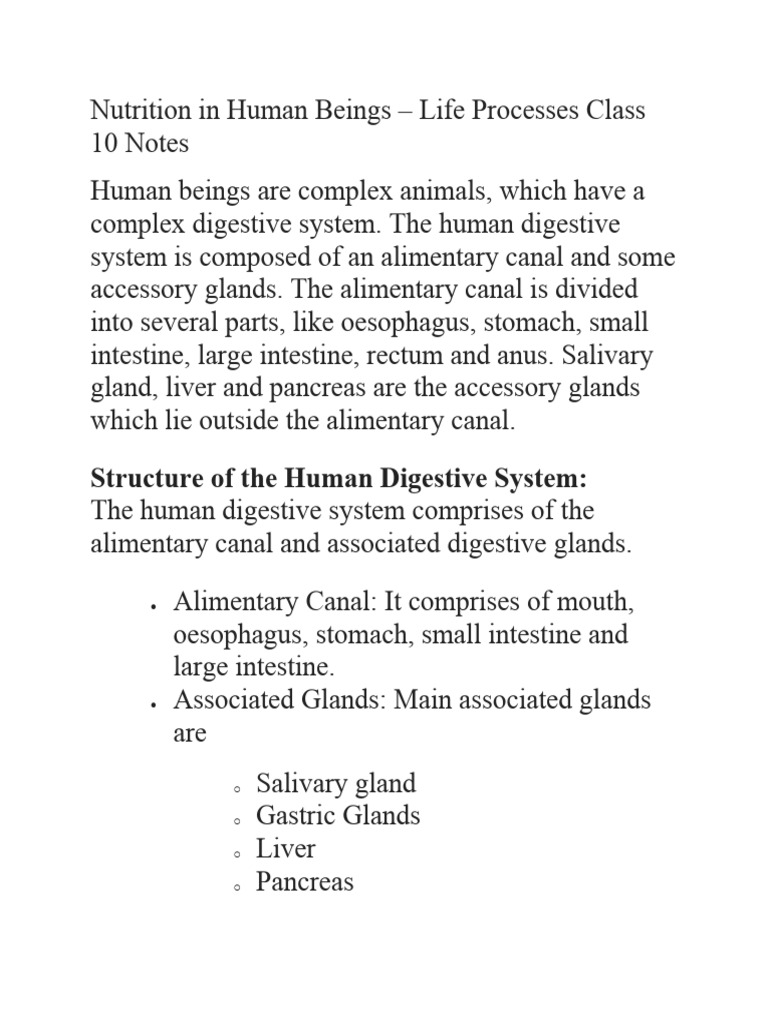 Nutrition In Human Beings Download Free Pdf Digestion Stomach