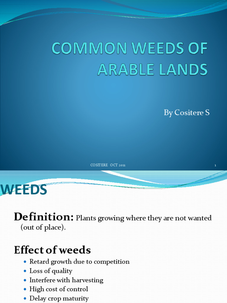 Weeds of Arable Lands-1 | PDF | Leaf | Seed