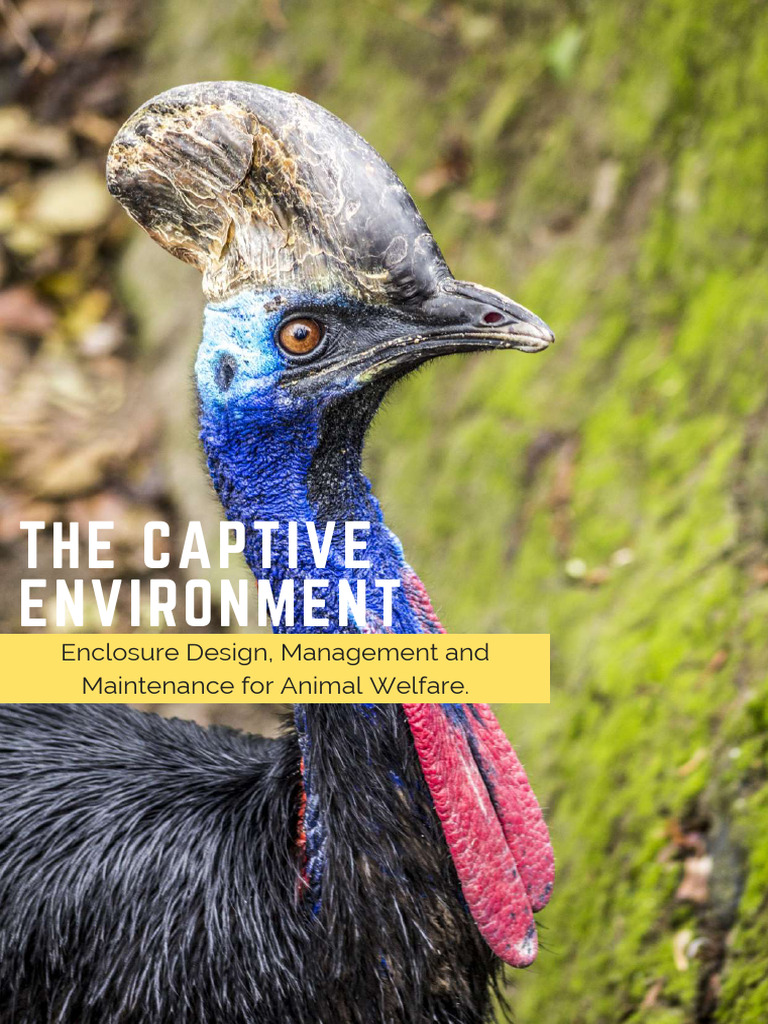 Captive Environment | PDF | Animal Welfare | Zoo