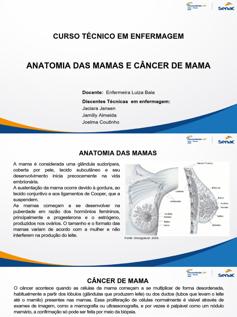 Anatomia Das Mamas e CA DE MAMAS | Download grátis PDF | Câncer de mama ...
