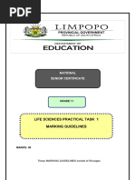 CAT PAT Grade 11 2024 | PDF | Electronic Waste | Waste Management