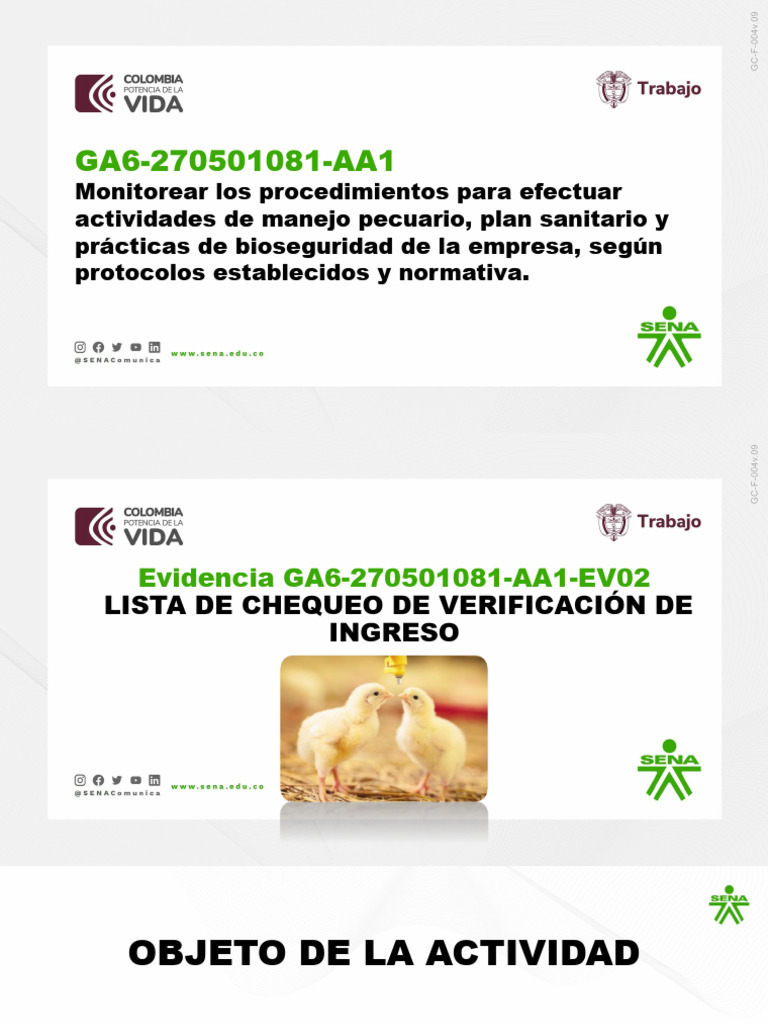 Evidencia Lista de Chequeo BPG | PDF