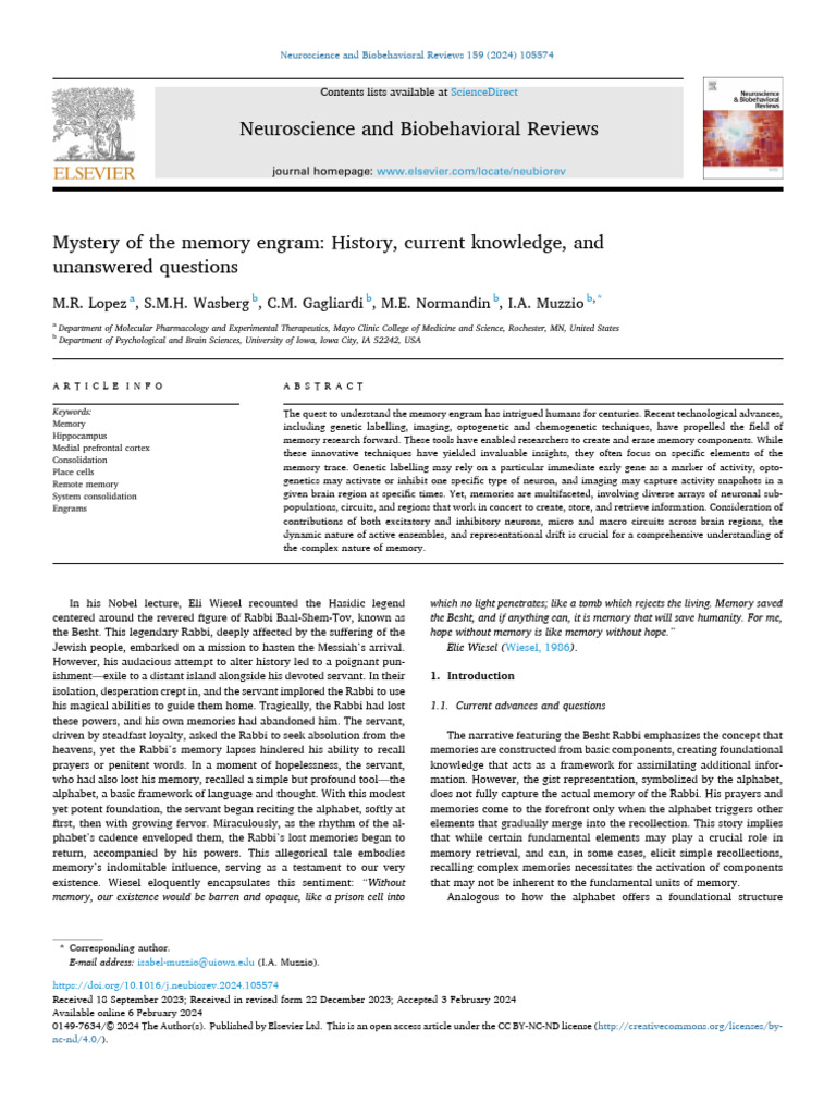 Memory Engram: Insights and Questions | PDF | Memory | Hippocampus