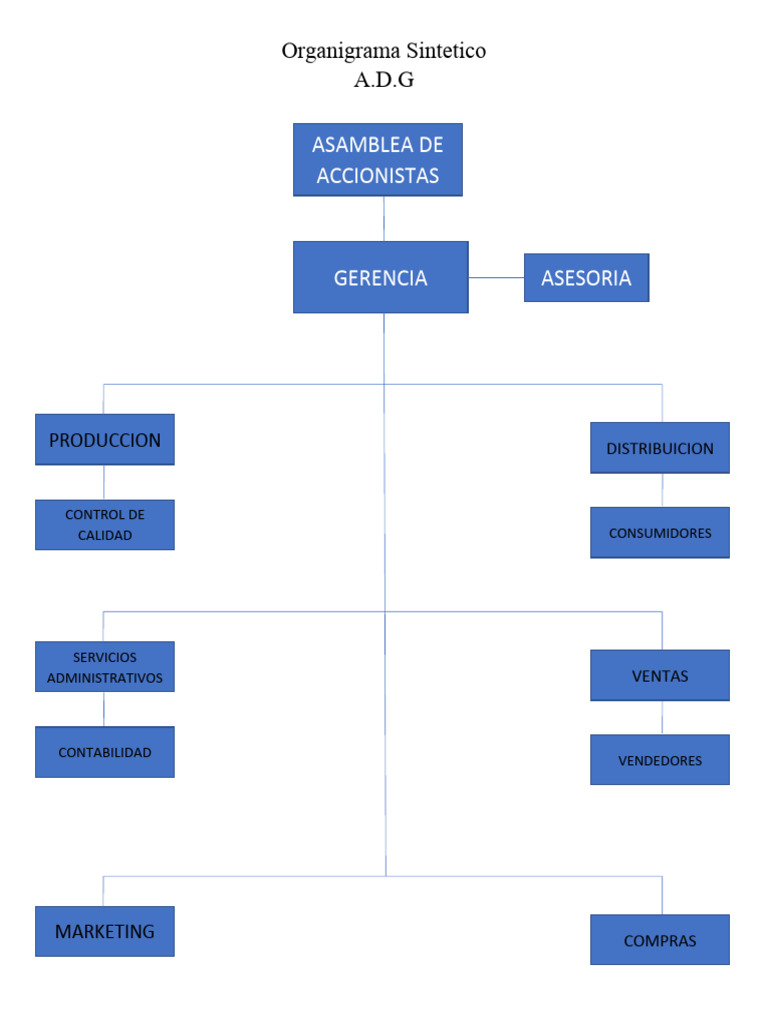 Organigrama Sintetico ADG | PDF