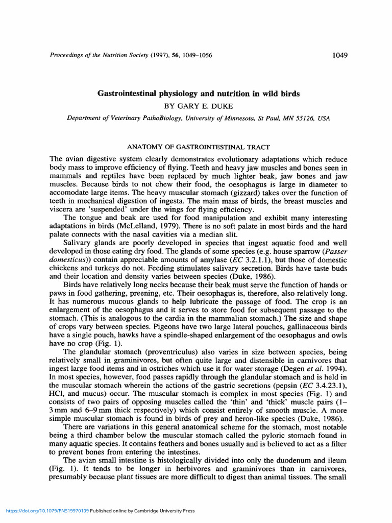 Gastrointestinal Physiology and Nutrition in Wild Birds | PDF | Stomach ...
