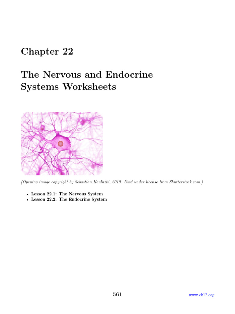 CK-12 Biology Chapter 22 Worksheets[1] | PDF | Neuron | Axon