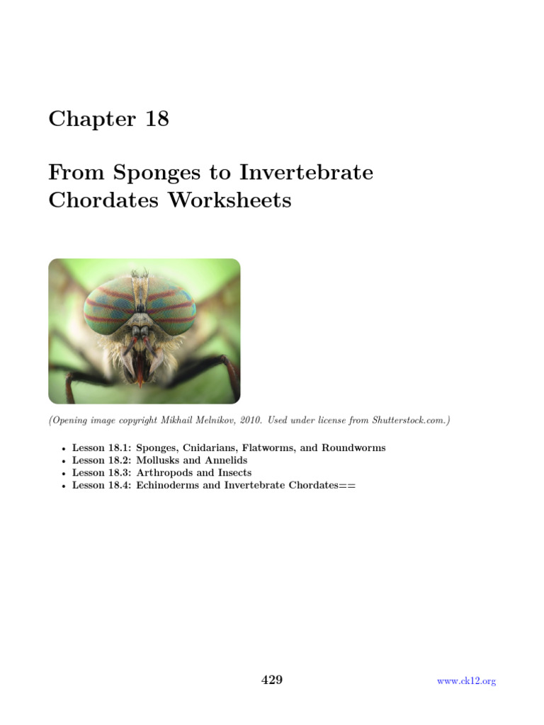 Ck 12 Biology Chapter 18 Worksheets[1] Pdf Mollusca Invertebrate