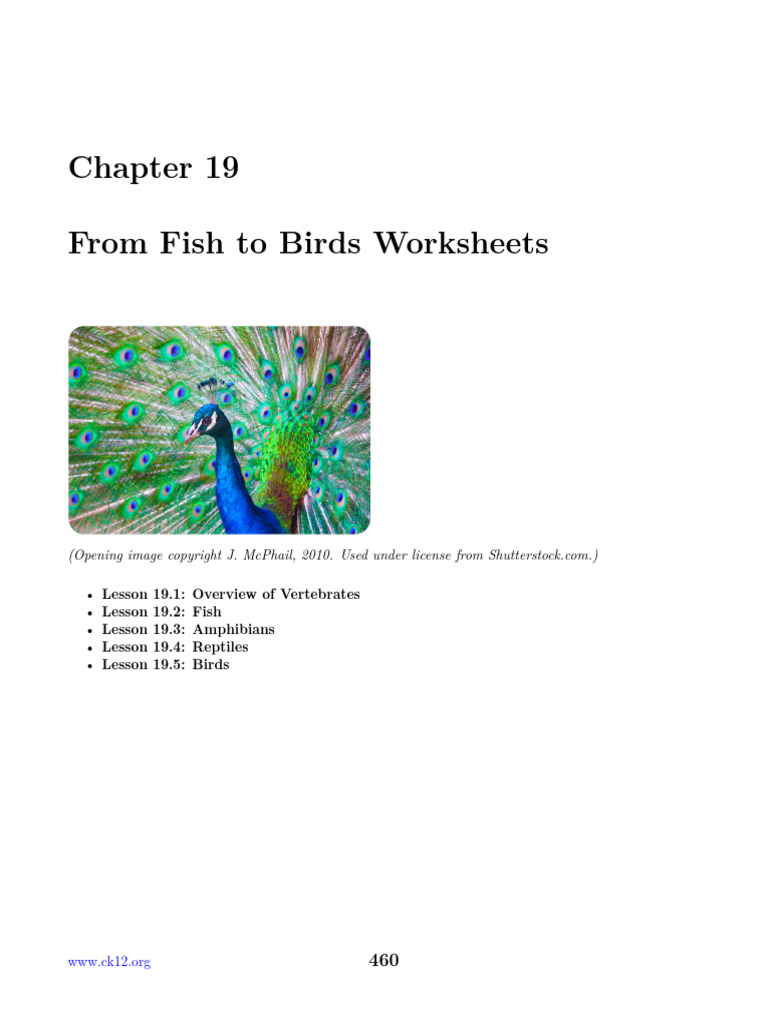 Ck 12 Biology Chapter 19 Worksheets Download Free Pdf Amphibian