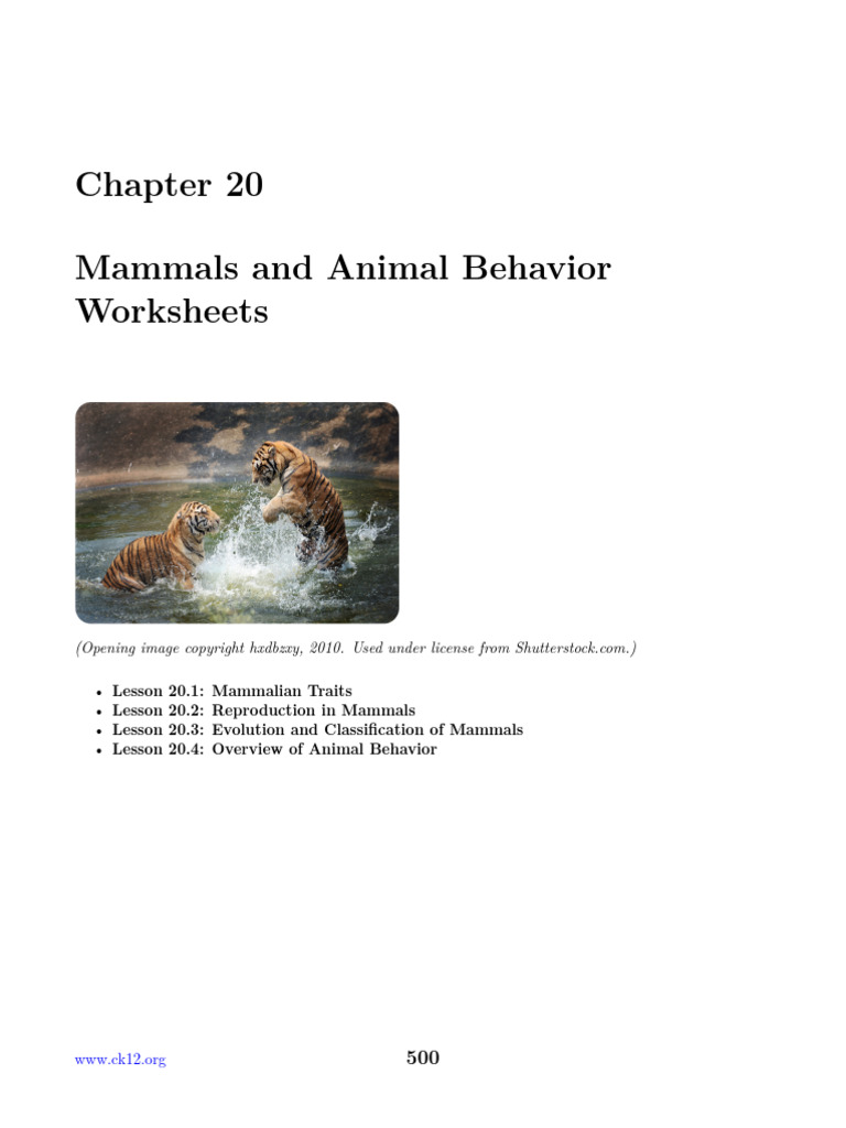 CK-12 Biology Chapter 20 Worksheets | PDF | Mammals | Marsupials