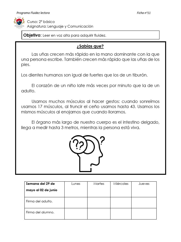 Ficha N°11 Fluidez Lectora 2° Básico | PDF