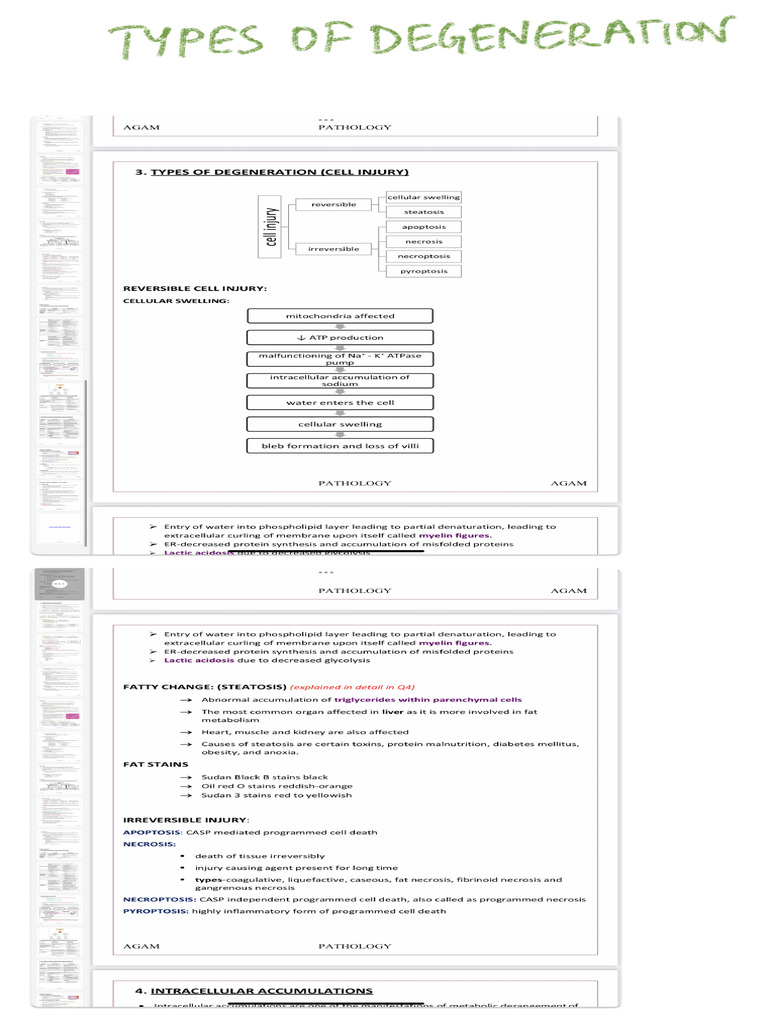 1E - Types of Degeneration | PDF