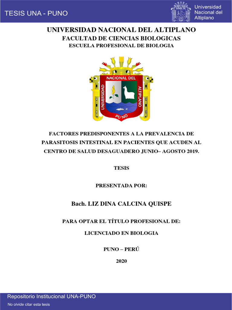 Calcina Quispe Liz Dina | PDF | Salud y bienestar | Ciencia y matemáticas