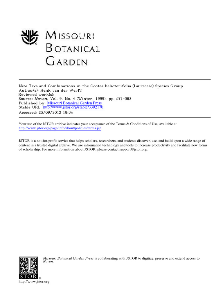 Gen Lauraceae | PDF | Leaf | Botany