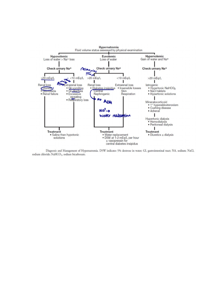 Nephrology Hypernatremia Differential Algorithm Causes Original | PDF