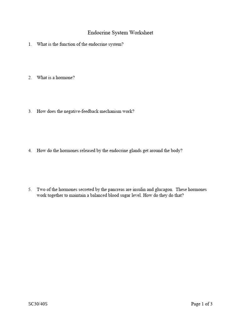 Endocrine System Worksheet and Answers | PDF | Endocrine System | Organ ...