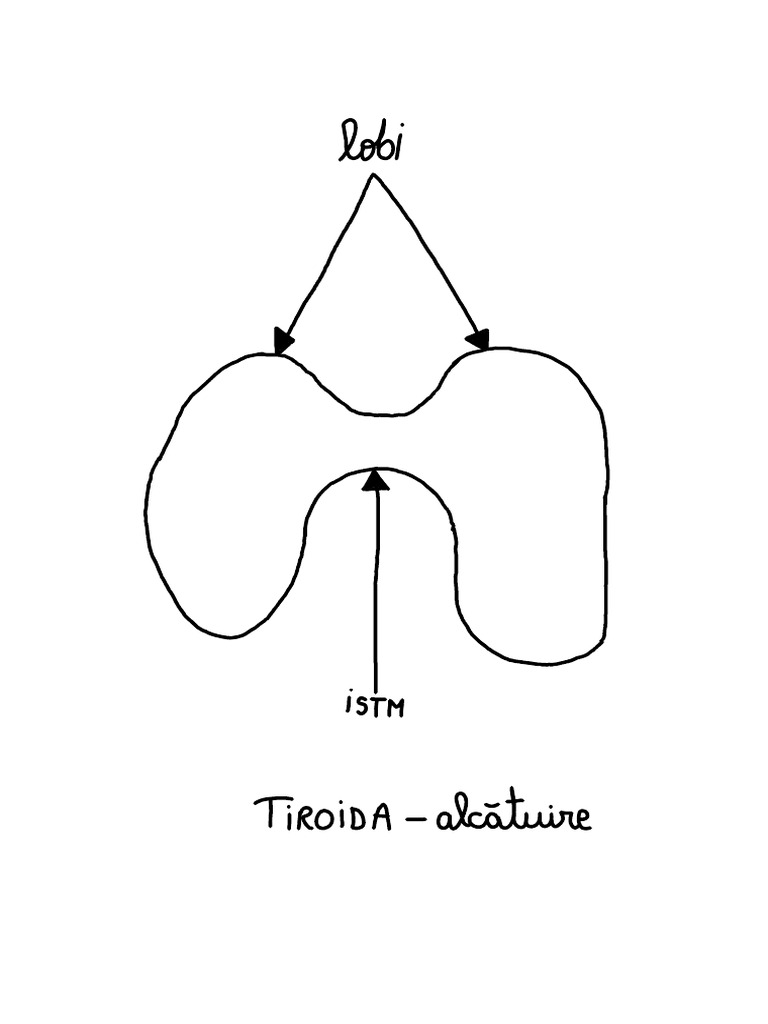 Tiroida Clasa 7 | PDF
