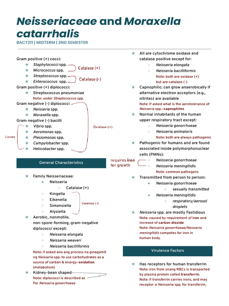 Neisseriaceae and Moraxella catarrhalis | PDF | Medical Specialties | Microbiology
