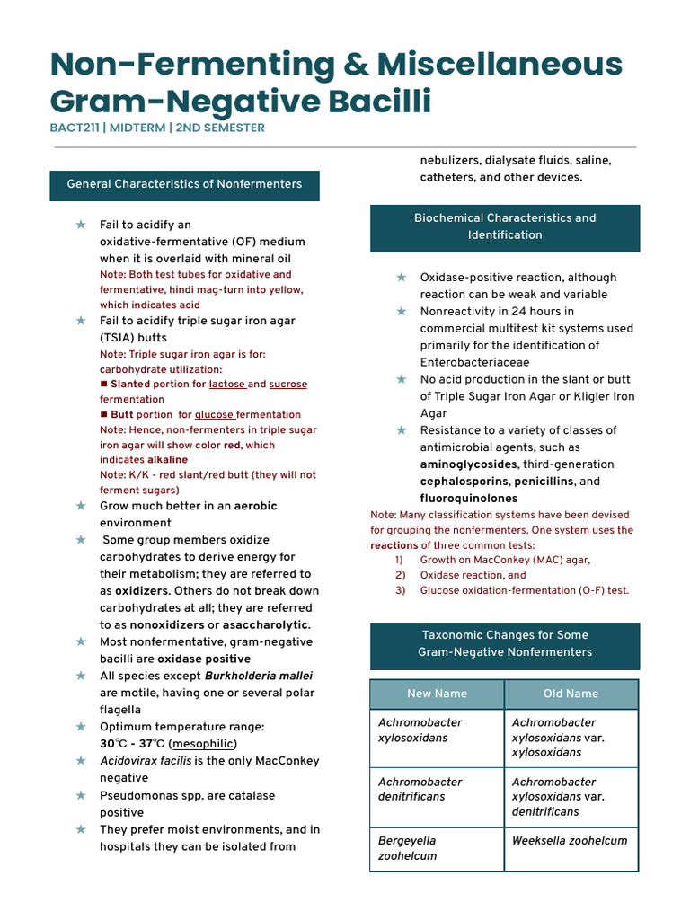Non-Fermenting & Miscellaneous Gram-Negative Bacilli | PDF ...