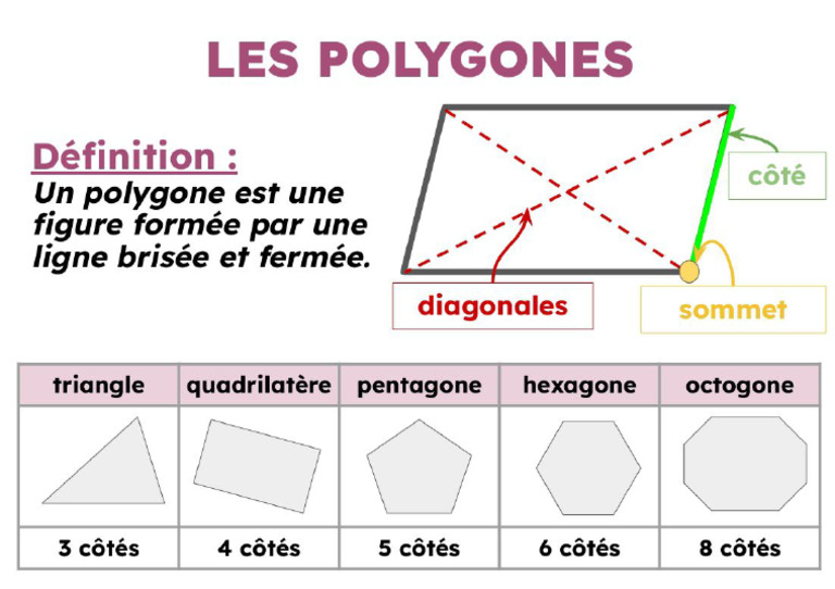 Affichage Polygones CM1 | PDF