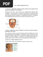 Anatomia do Terço Superior da Face | PDF | Anatomia humana | Cabeça e ...