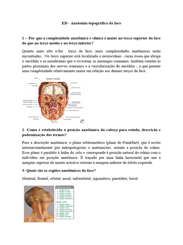 ED Anatomia Da Face-1 | PDF | Cabeça e pescoço humano | Anatomia humana