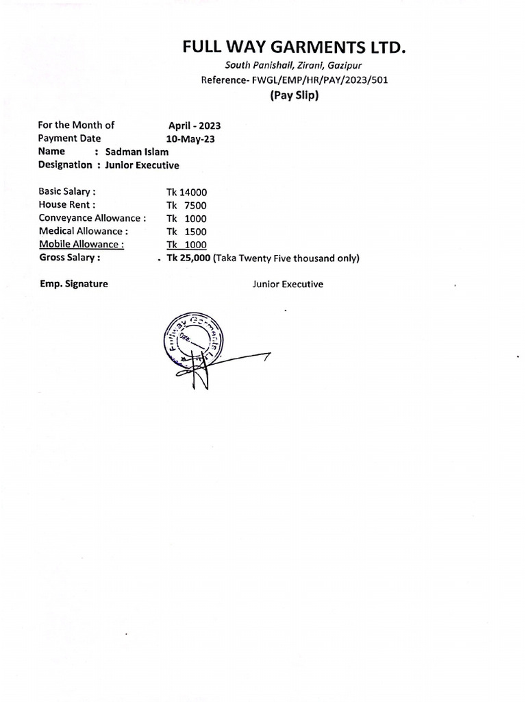 Saad's Pay Slip | PDF