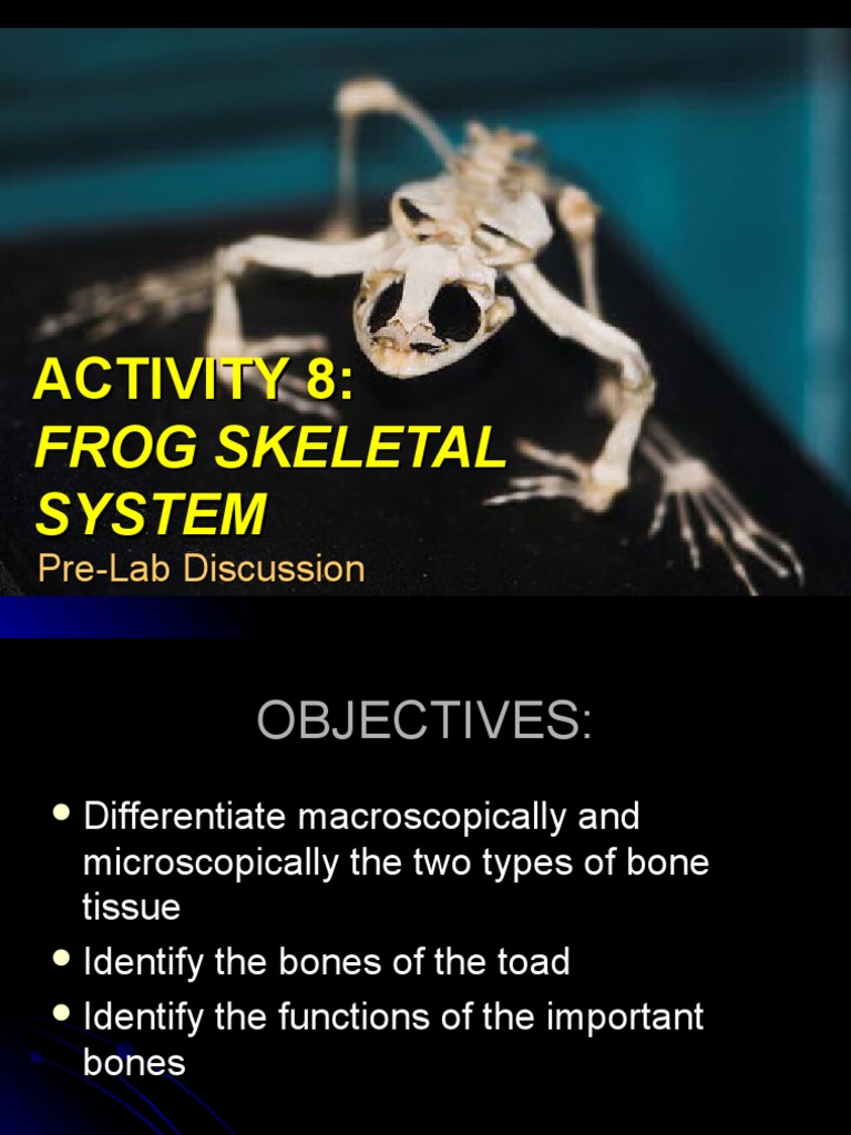 Frog and Toad Skeletal System Overview | PDF | Social Science | Foreign ...
