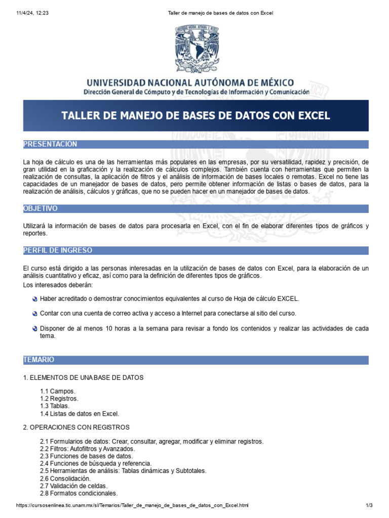 21 Taller de Manejo de Bases de Datos Con Excel | PDF | Bases de datos | Microsoft Excel