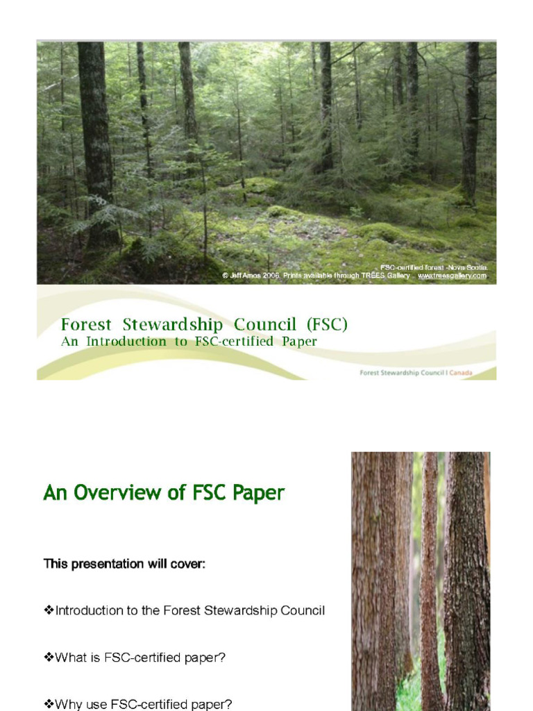 Part 1 - Training Material FSC | PDF