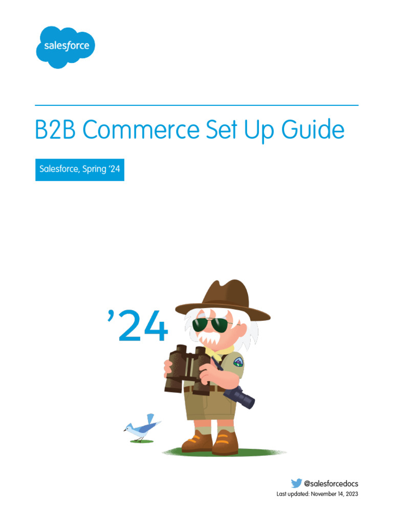 b2b Standalone Setup | PDF | Http Cookie | Mobile App