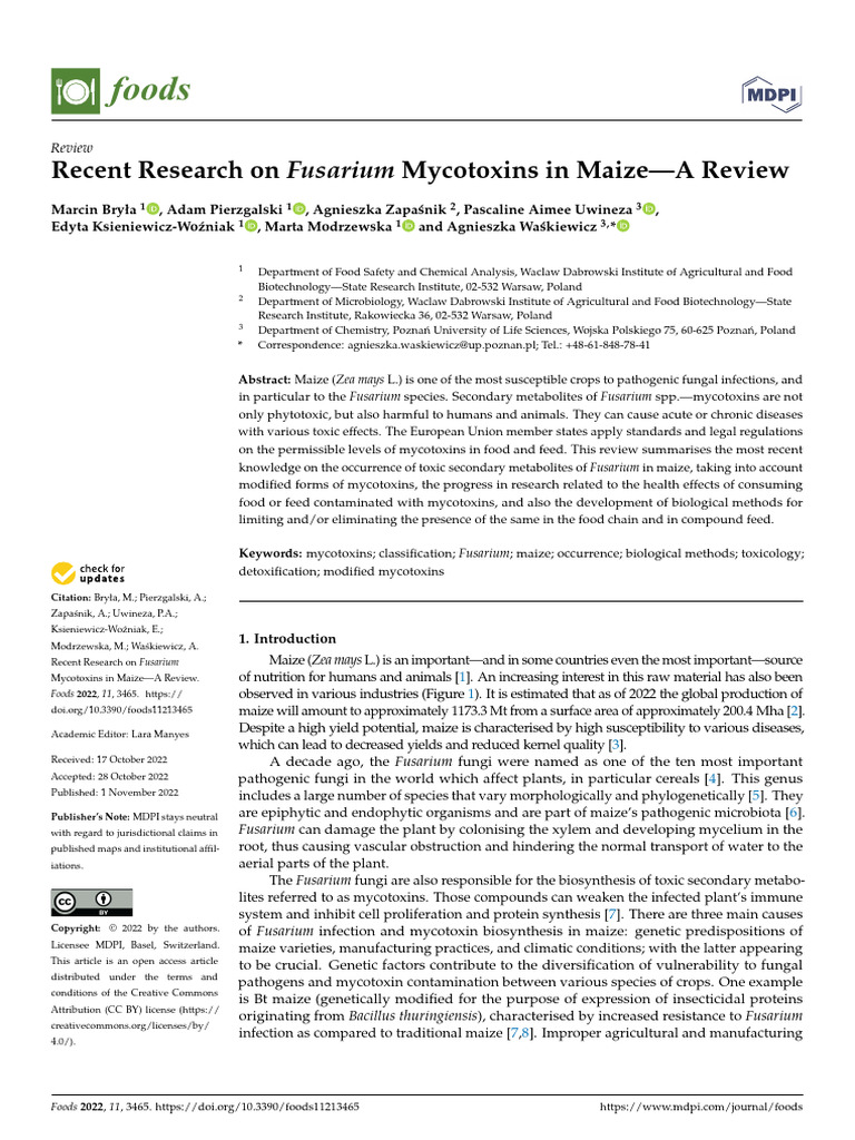 Recent Research On Fusarium Mycotoxins in Maize-A | PDF | Mycotoxin ...