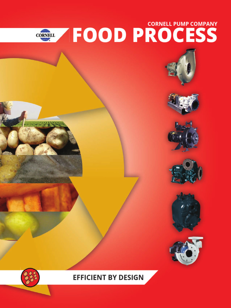 BR Food Process | PDF | Pump | Chemical Engineering BR Food Process | PDF | Pump | Chemical Engineering