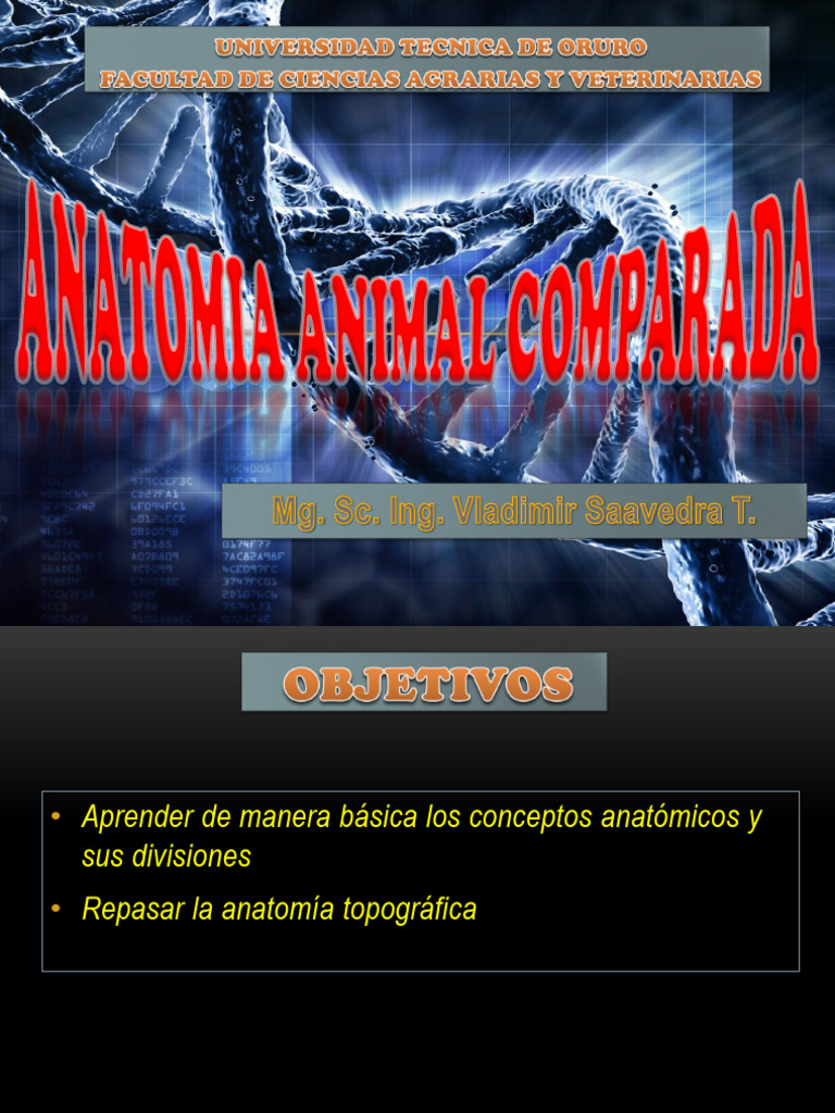 INTRODUCCION ANATOMIA COMPARADA | PDF