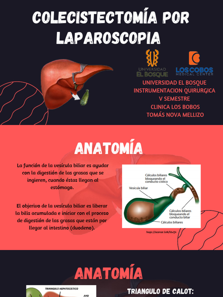Colecistectomía Laparoscópica: Proceso y Técnica | PDF | Sistema ...