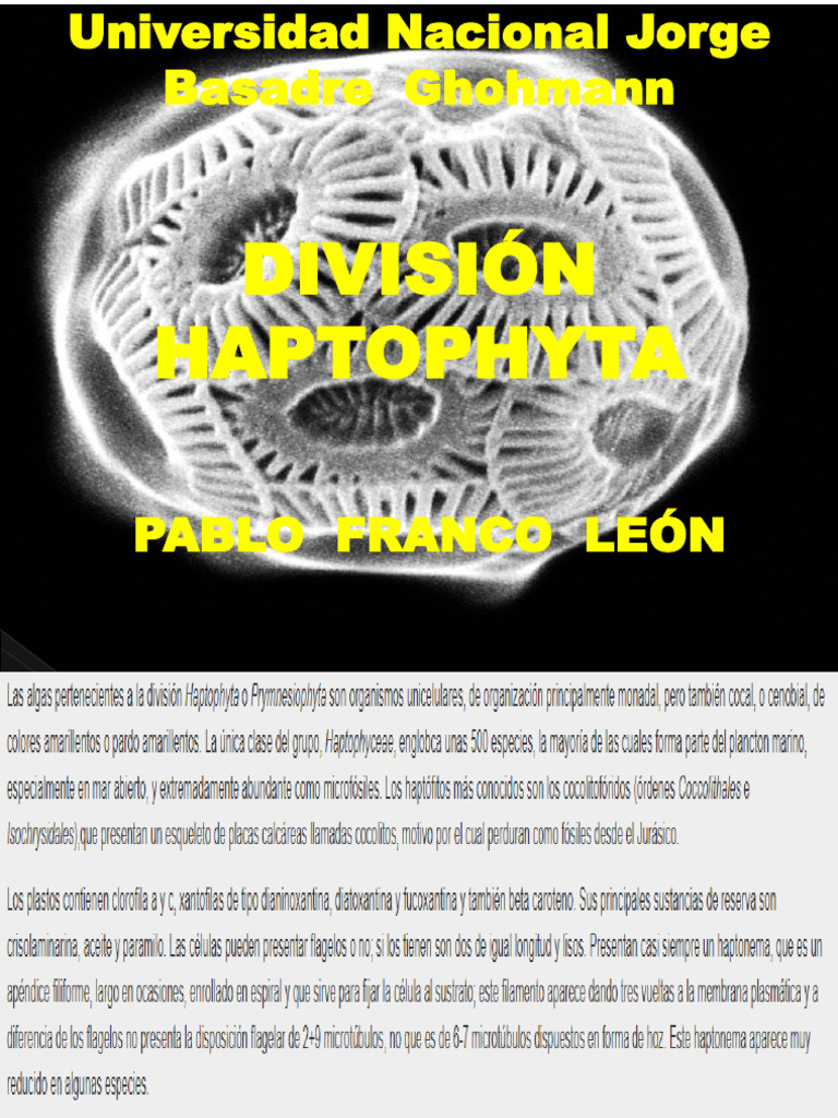 Division Haptophyta 2021 | PDF | Biología