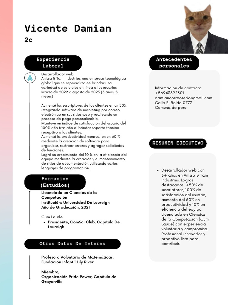 Curriculum Vitae Vicente Damian 2c Chamo - 231130 - 091147 | PDF | Red ...