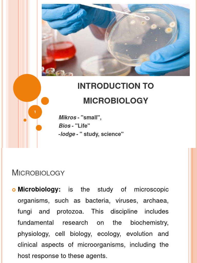 1.introduction MOV | PDF | Bacteria | Gram Negative Bacteria
