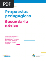 Ciclo Del Aedes Aegypti | PDF | Mosquito | Aedes aegypti