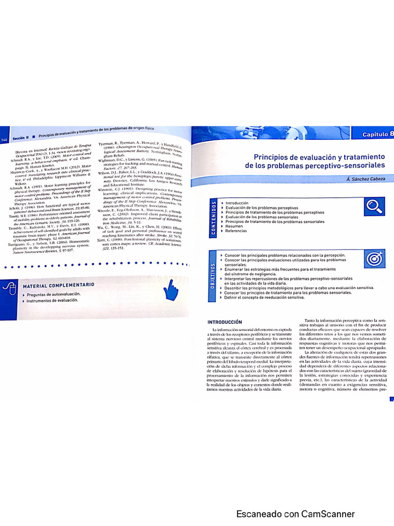 Problemas perceptivos sensoriales cap.8 Polonio | PDF