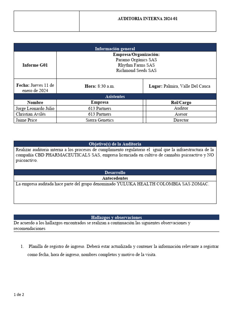 Informe de Hallazgos Auditoria | PDF | Auditoría