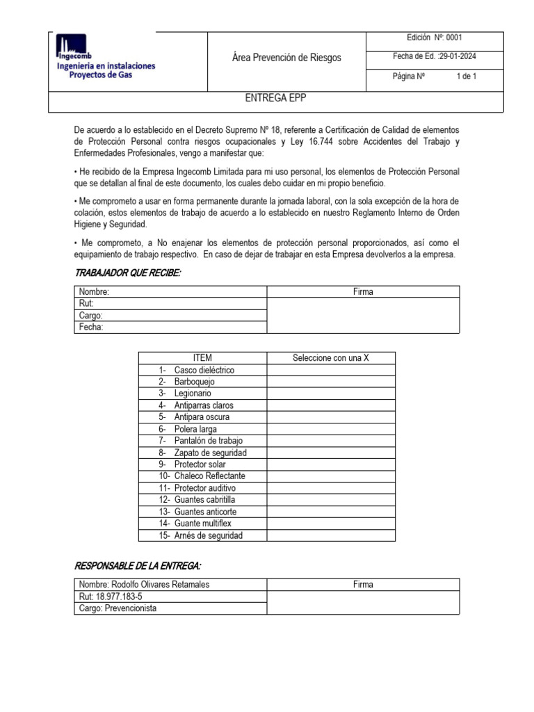 Entrega Epp 2024 | PDF