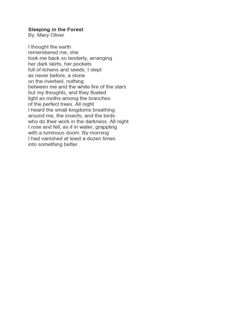 Sleeping in The Forest | PDF