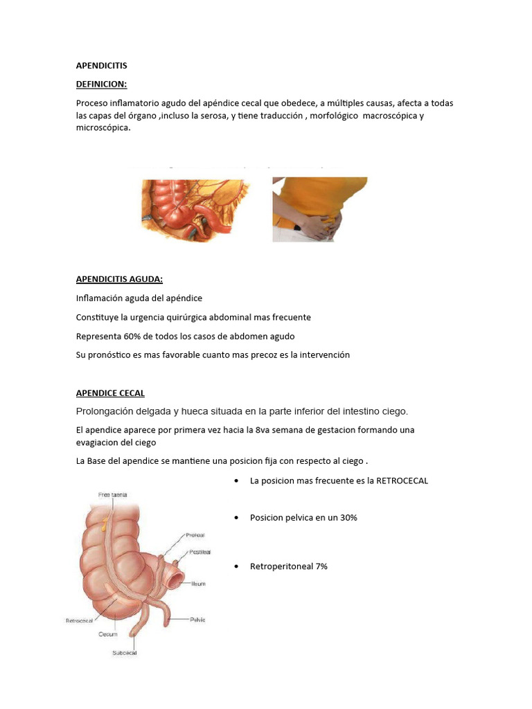 Apendicitis: Causas, Anatomía y Cuidados | PDF | Especialidades Medicas ...