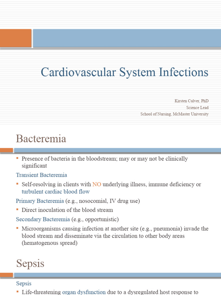 Infections of The Cardiovascular System 2024 | PDF | Lyme Disease | Heart