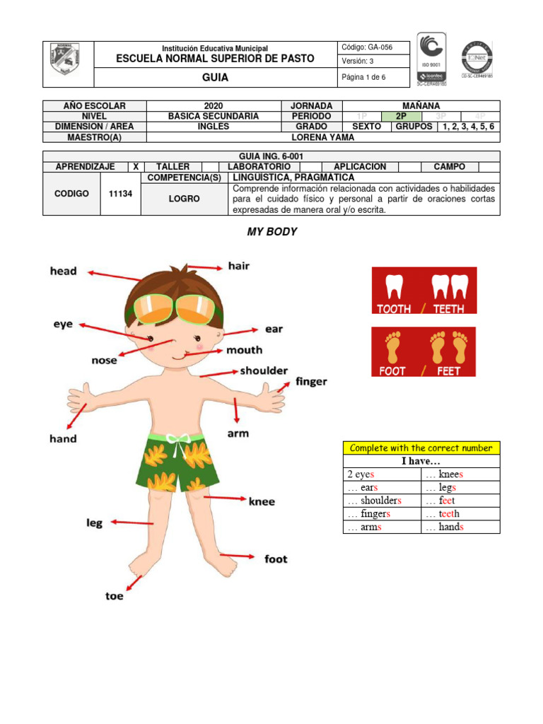 GUIA001-ING.-6-2P-2020 Parts of The Body - Can | PDF