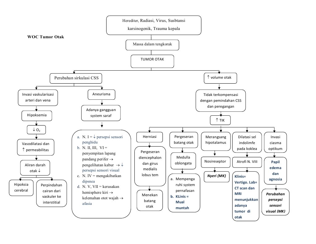 Woc Askep Tumor Otak