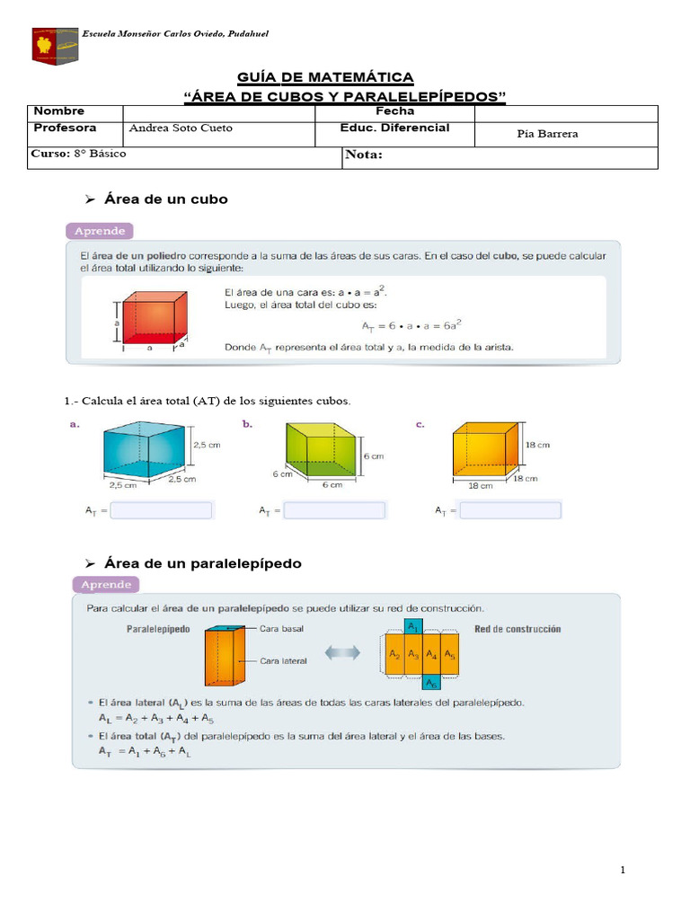 Guia Matemáticas Area Cubo | PDF | Ciencias sociales | Ciencia y ...